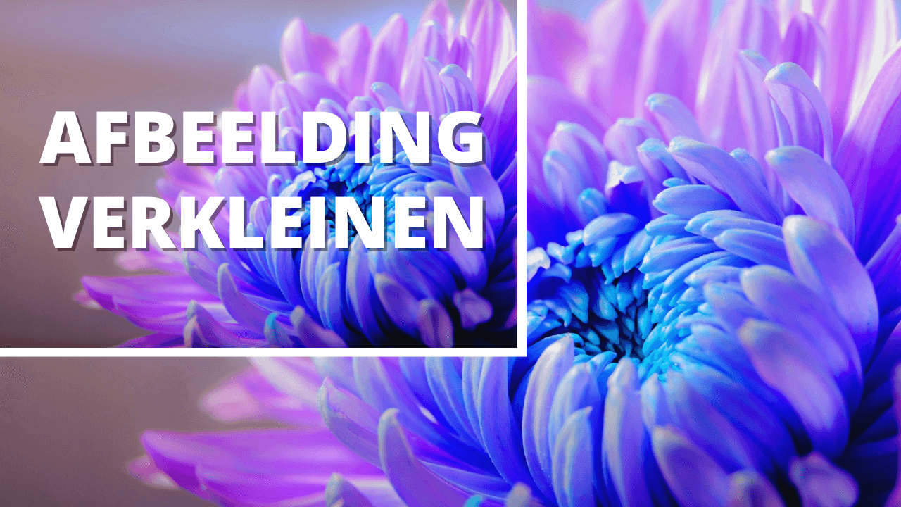 Een afbeelding verkleinen in Windows 10 en 11 (4 manieren)